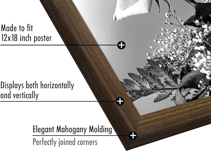 16x20 | Driftwood | Poster Frame | Epic – Americanflat